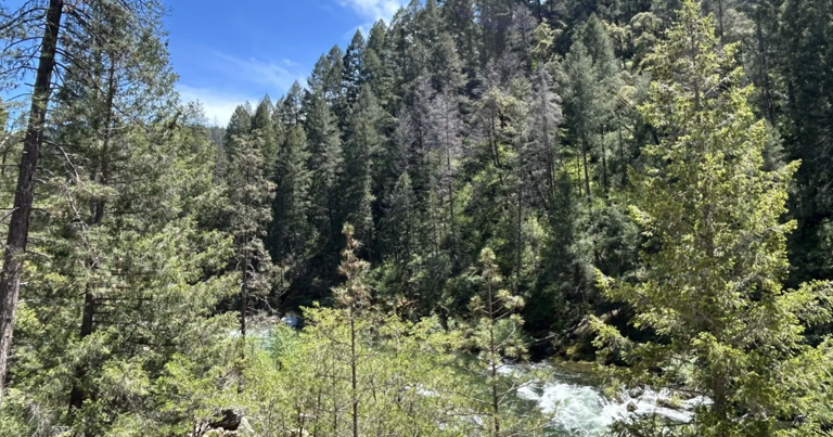 This small-town state park in Northern California feels like a local secret