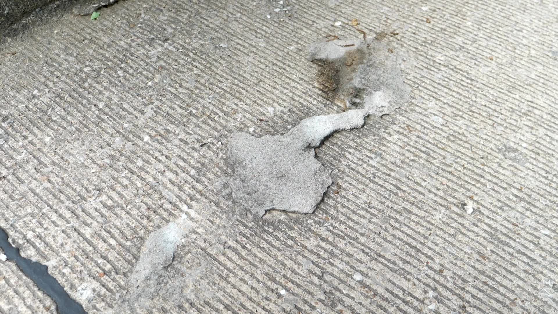 Northwest Arkansan turning photography retirement project into a board game