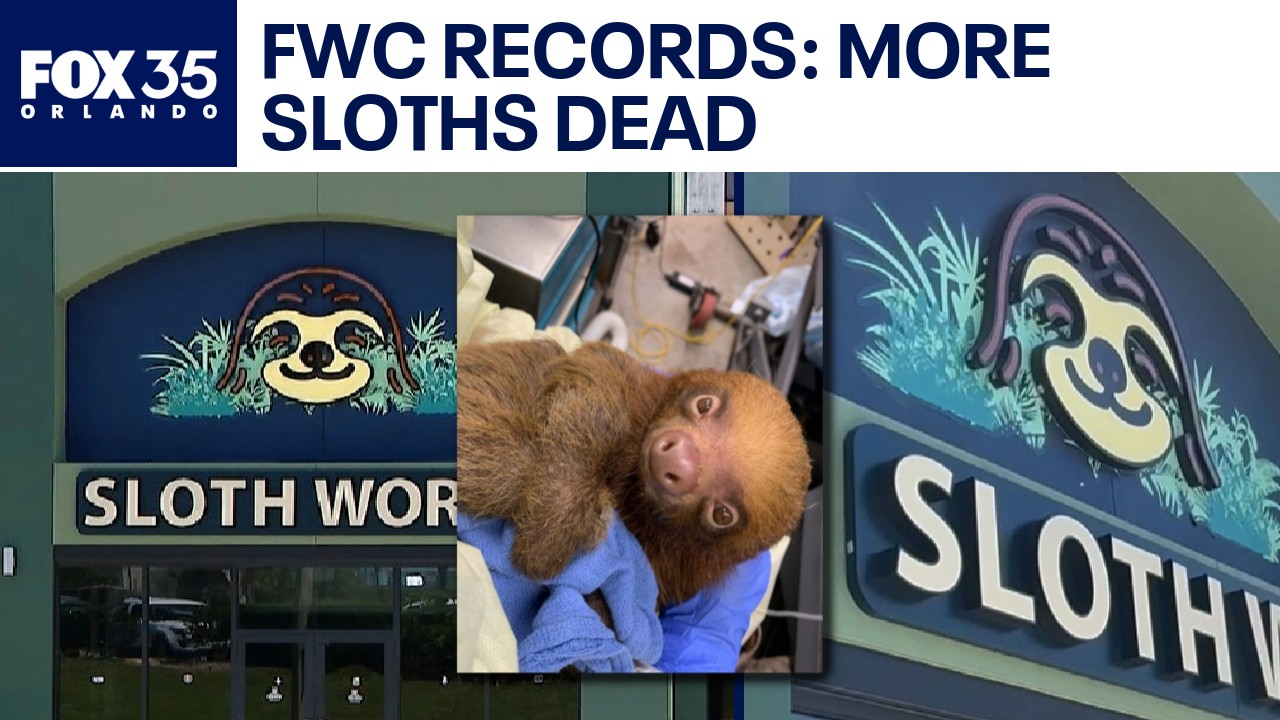 Sloth World animal death count increases, FWC reports show