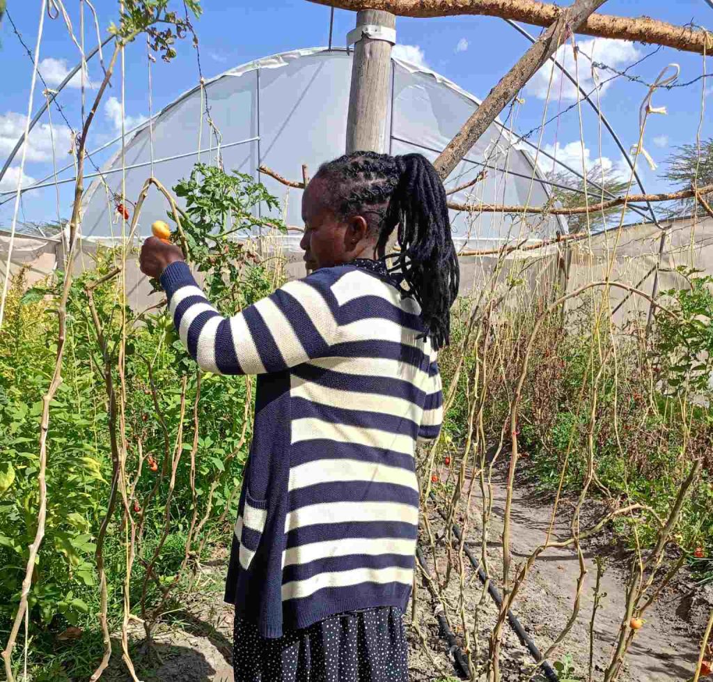 Women led it, youth scaled it: A Maasai community’s fight to adapt to ...
