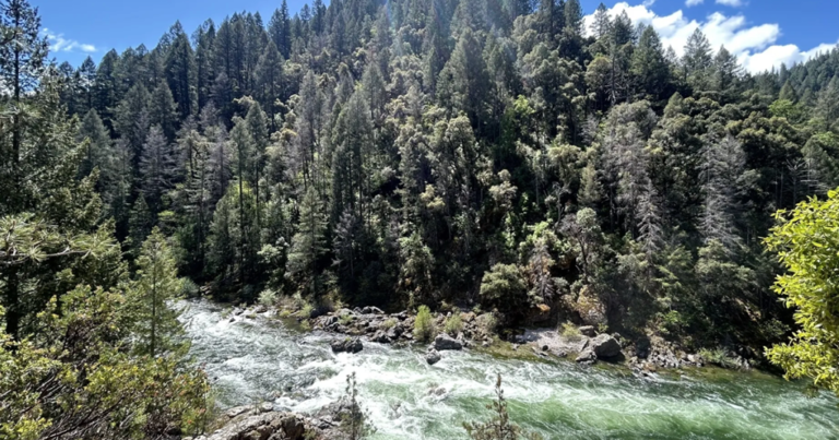This small-town state park in Northern California feels like a local secret