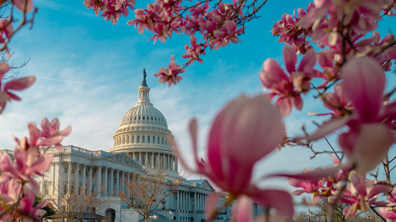 The best activities for adults on a vacation to Washington DC