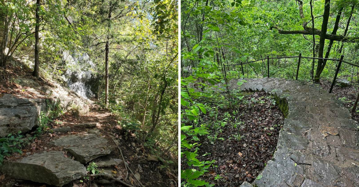 This Missouri trail feels like walking through a hidden wilderness dream