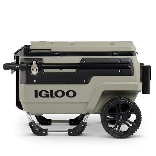 16 best coolers for the beach, camping & road trips