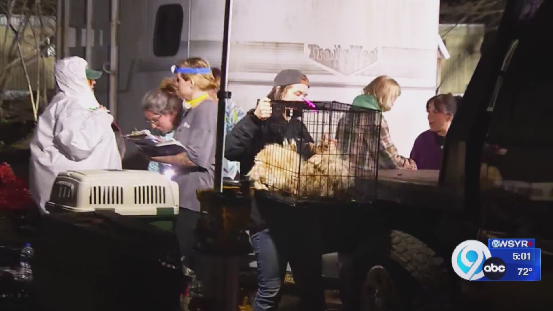 Second suspect in Mexico animal abuse case accused of child sexual abuse