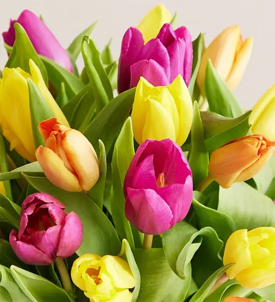 1-800-Flowers Mother’s Day sale: Buy one, get one 50% off