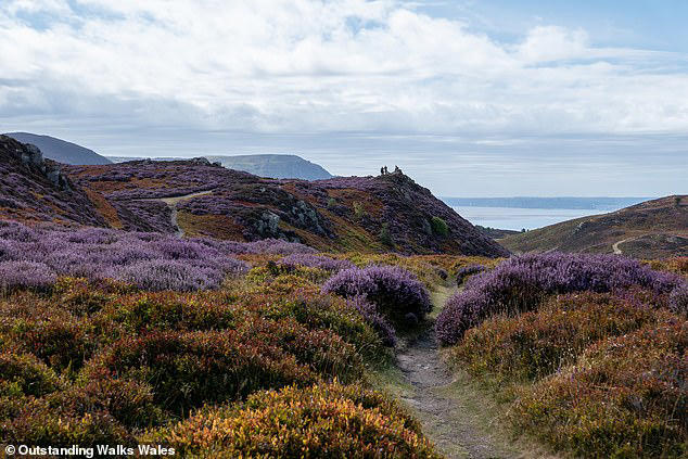 Wales' hidden gems revealed in breathtaking pictures - including one of ...