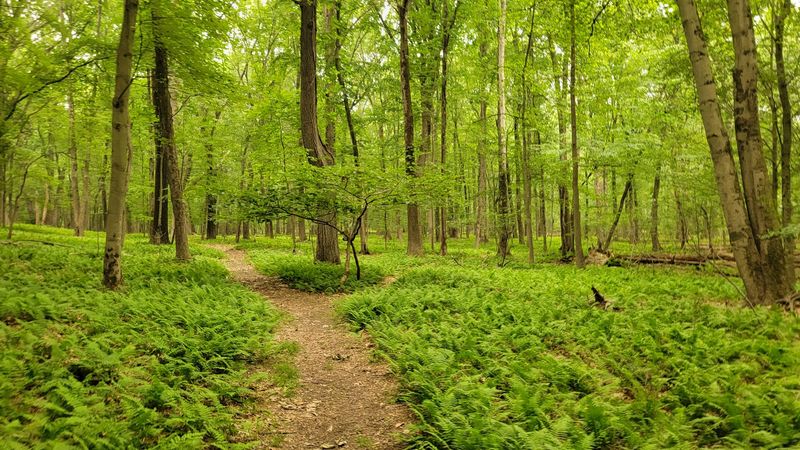 13 family-friendly hikes in New Jersey where the trails are short and ...