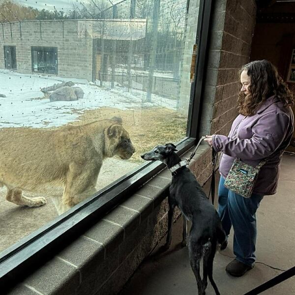 NEW Zoo hosting first 'Bring Your Dog to the Zoo' event