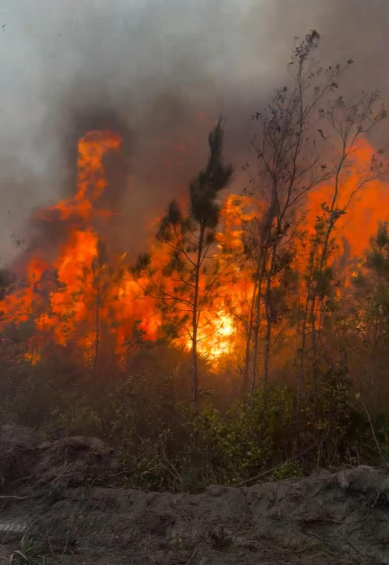 Highway 82 wildfire grows to 22,600 acres, at 6% containment