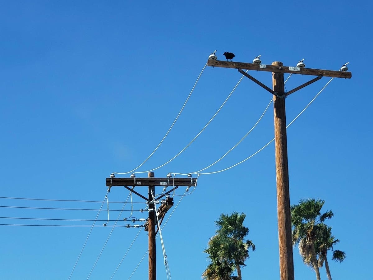 SDG&E new outage maps aid customers concerned about power disruptions
