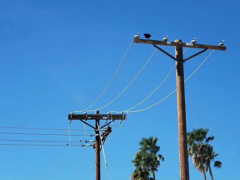 SDG&E new outage maps aid customers concerned about power disruptions