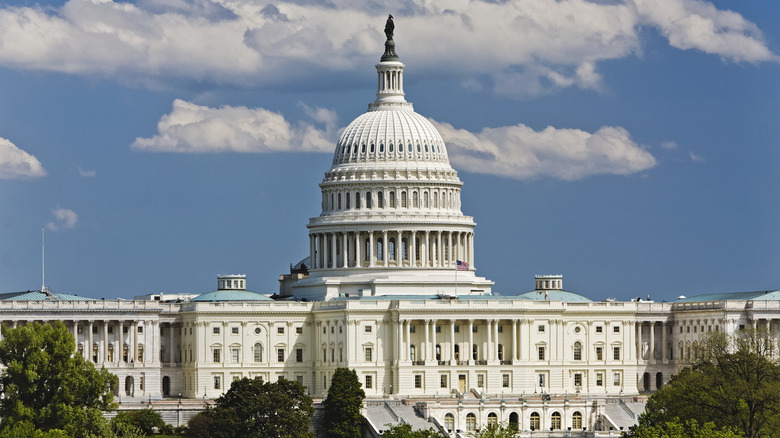 The best activities for adults on a vacation to Washington DC