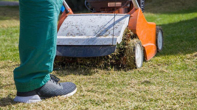 The crucial lawn care step that starts in May for healthy grass all ...