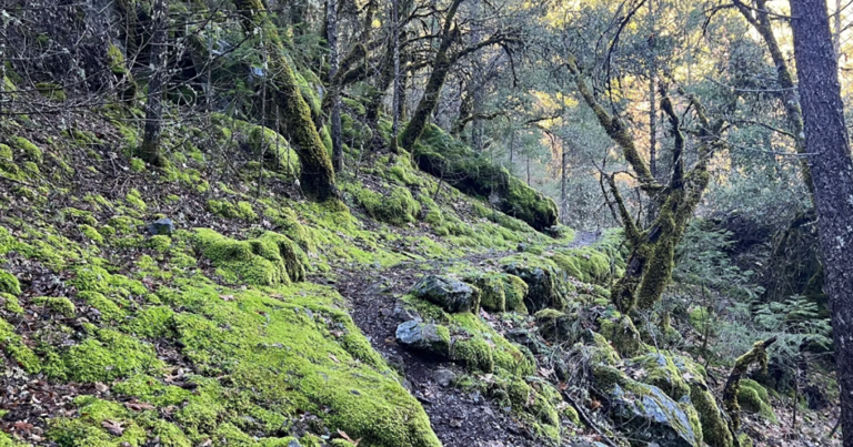 This small-town state park in Northern California feels like a local secret