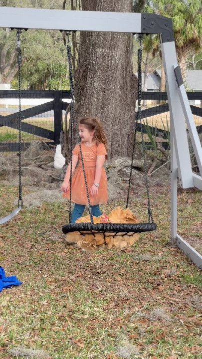 Little girl pushes chickens on a swing