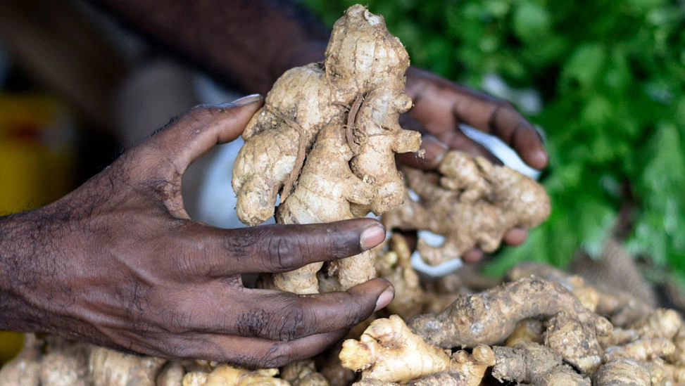 Ginger secrets every home cook should know