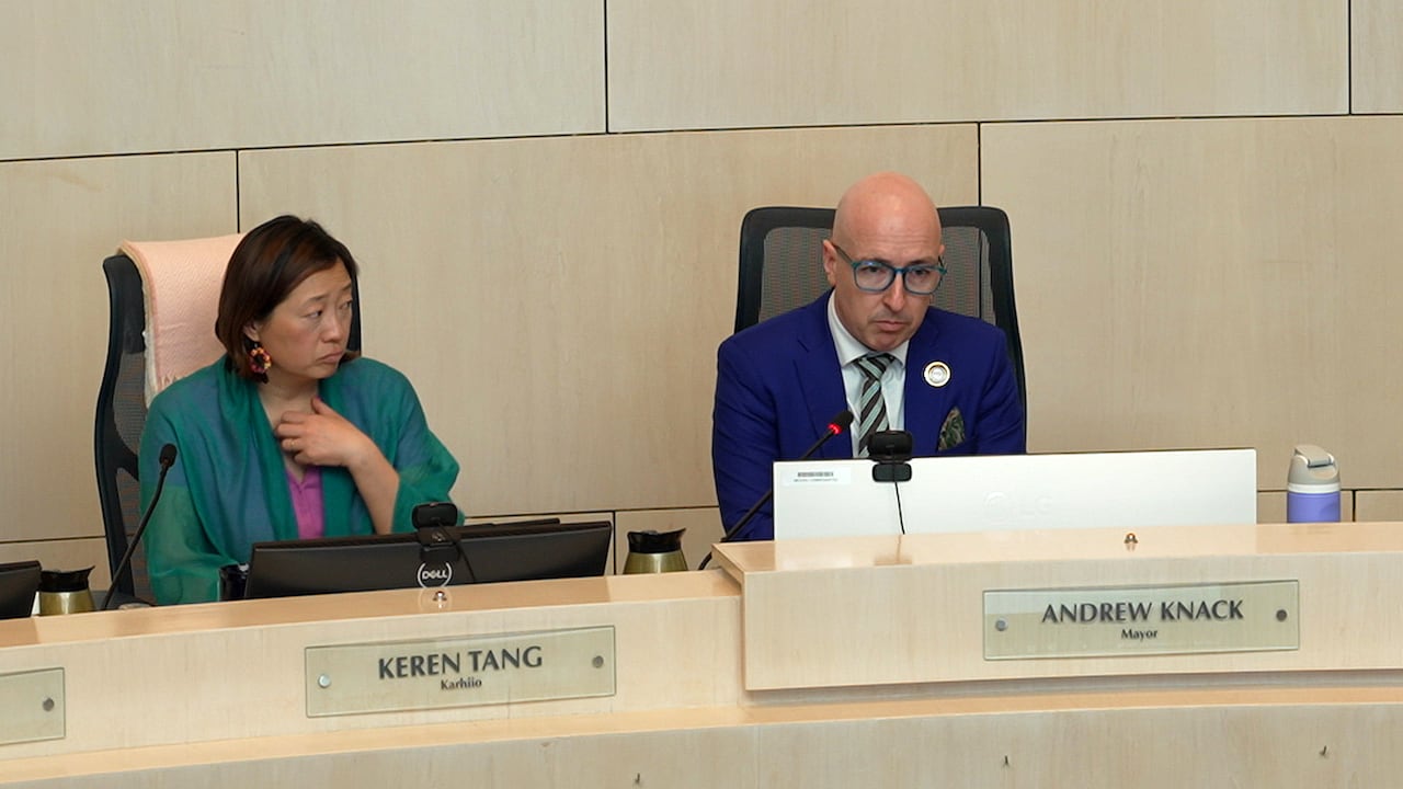 Edmonton city council reduces infill height cap by 1 metre