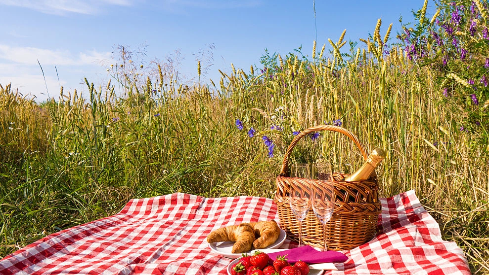 Real Simple unveils $6+ summer picnic essentials on Amazon