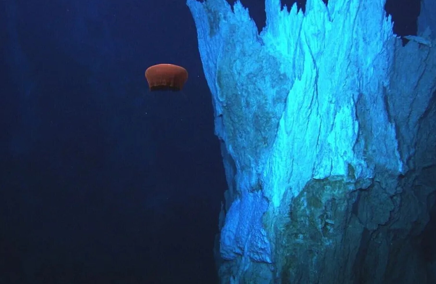 18 scary facts that might make you think twice