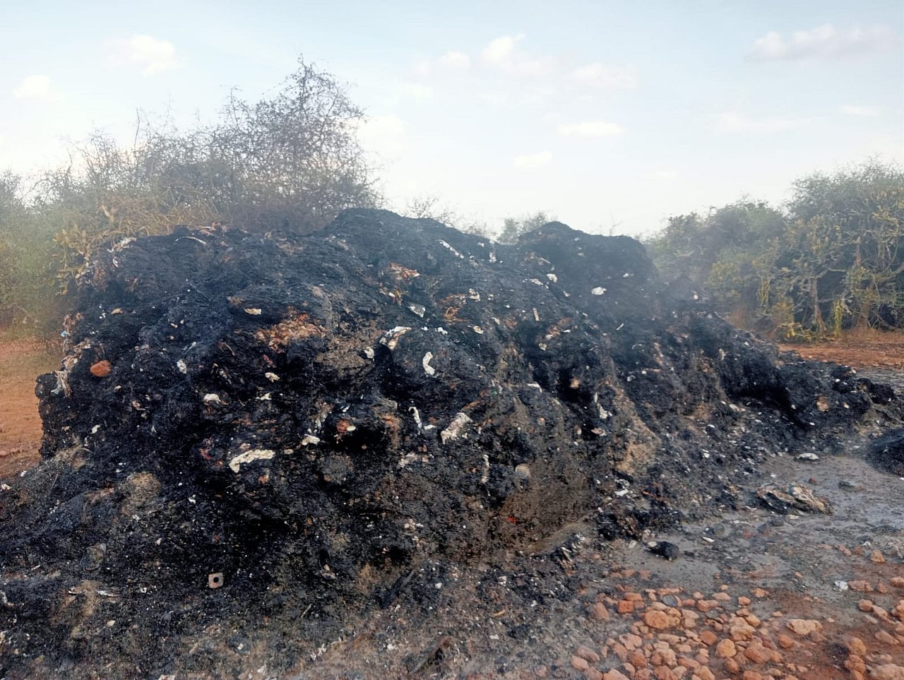 Biomedical waste dumped on road, set on fire in TN's Tirunelveli