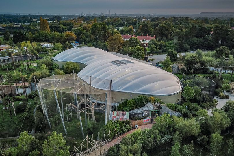 UK's best zoo revealed just one hour from Manchester with 30,000 ...