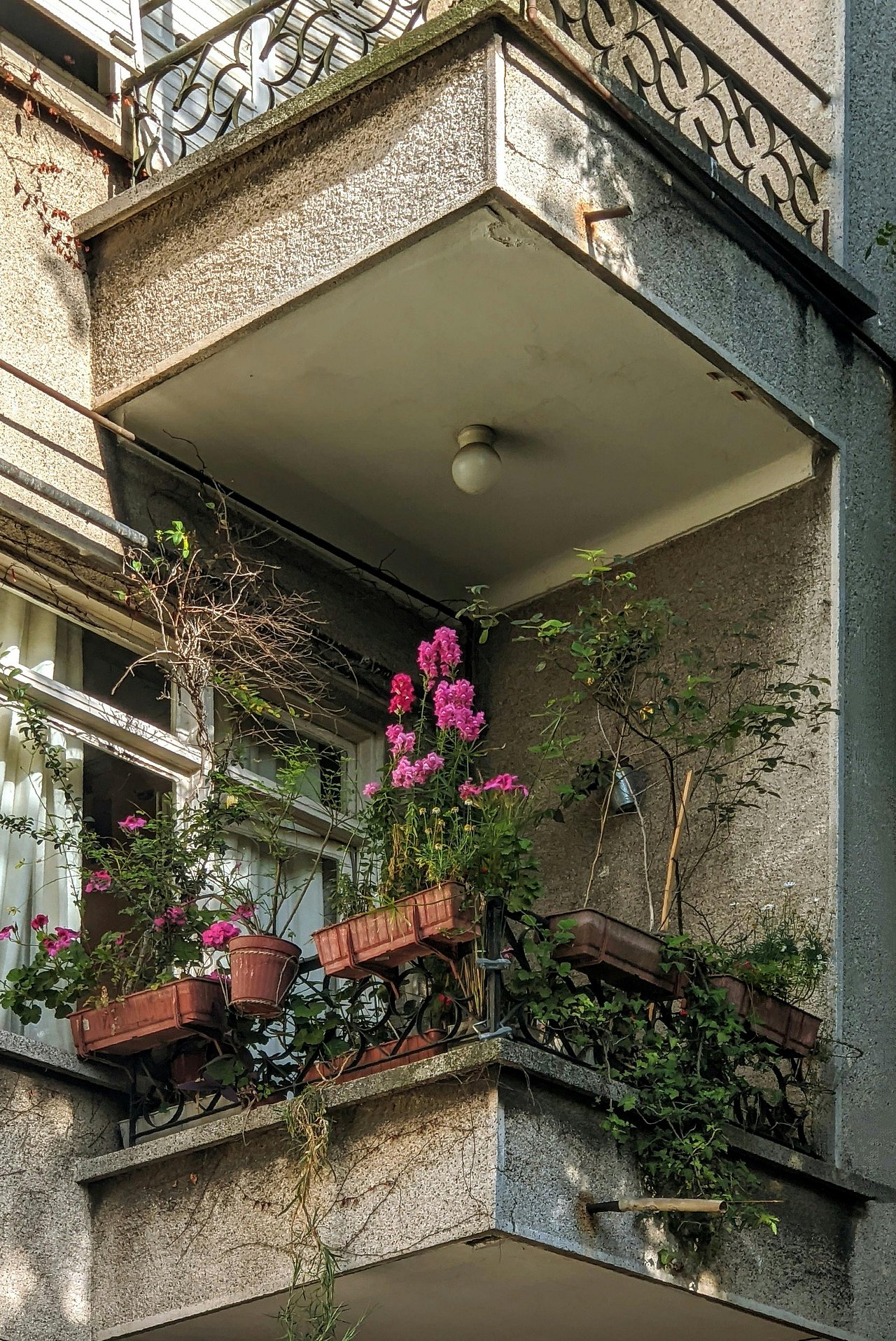 Understanding microclimates in urban landscapes