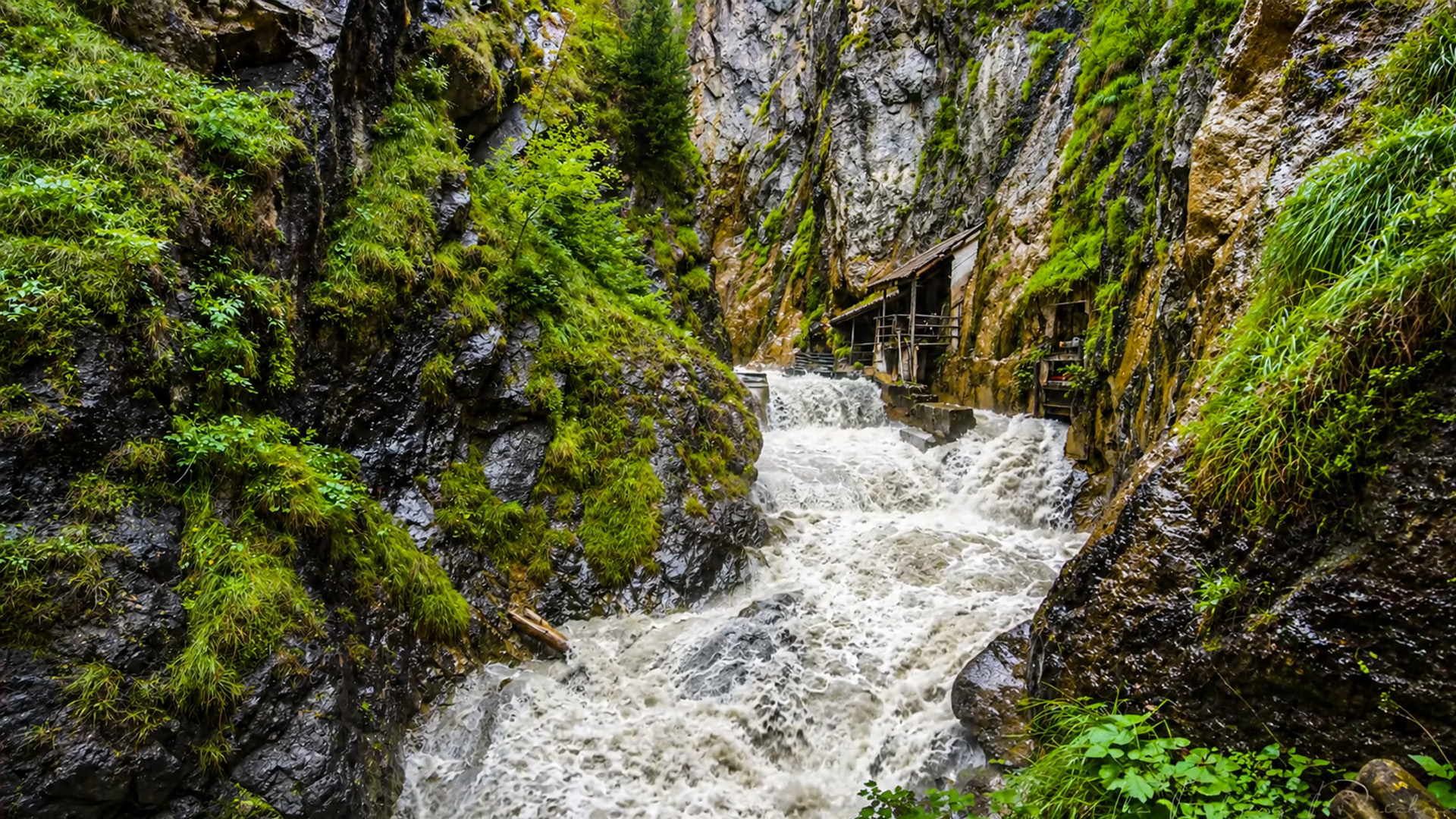 Scopri il sentiero panoramico della gola di Zammer Lochputz in Austria (4K)