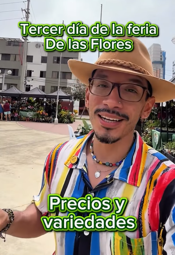 Precios y variedad de plantas en la feria de las flores