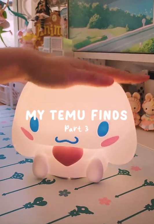 Temu finds part 3 hidden gems