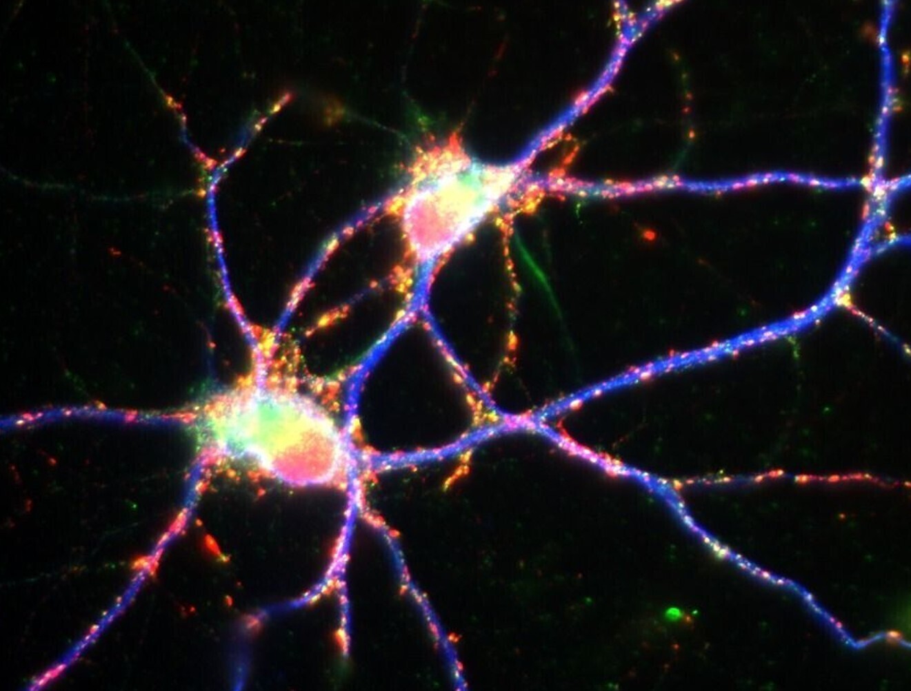 18 scary facts that might make you think twice