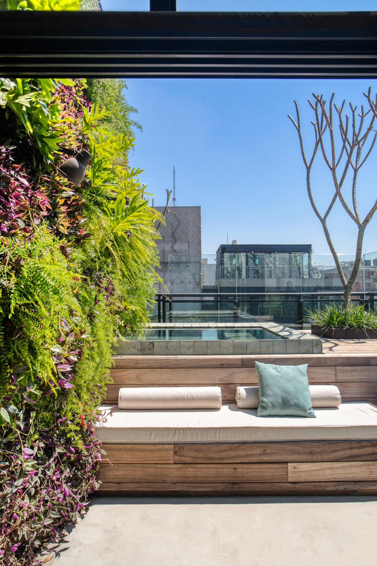 What is a pocket garden? Experts explain their importance and how to ...