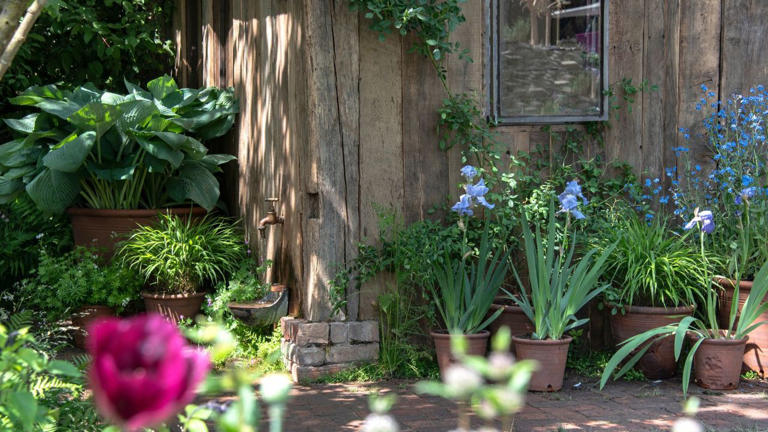 3 container tricks designers use for pots that last all summer