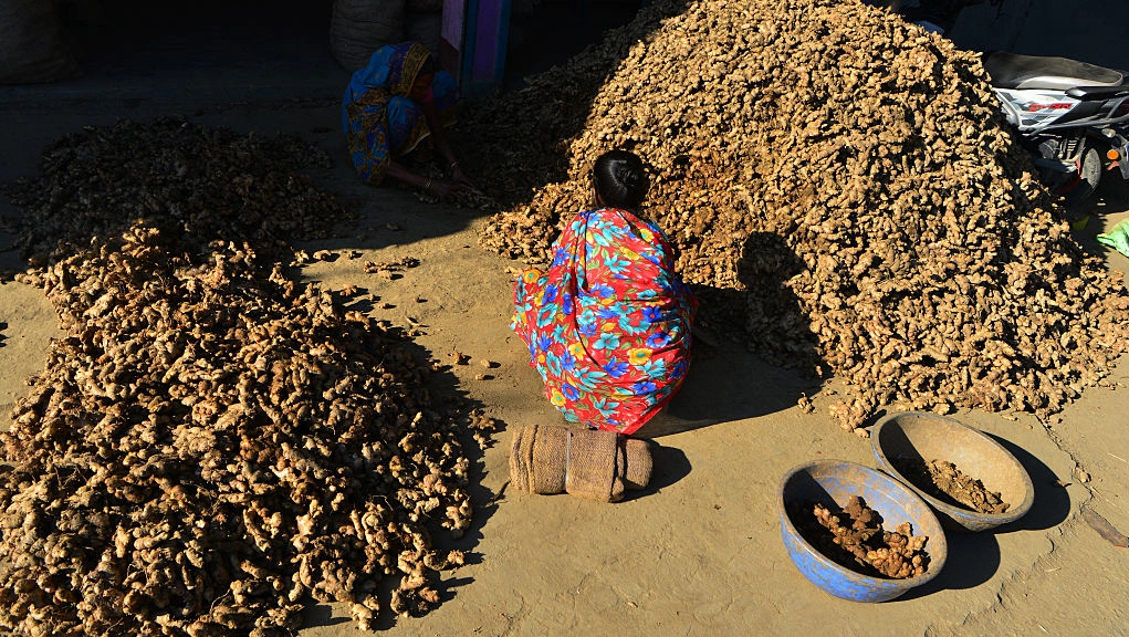 Ginger secrets every home cook should know