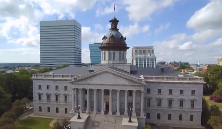 New SC laws take effect: What you need to know