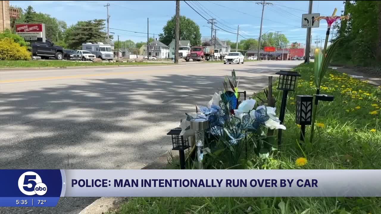 24-year-old man dies after Painesville intentional hit-and-run, police say