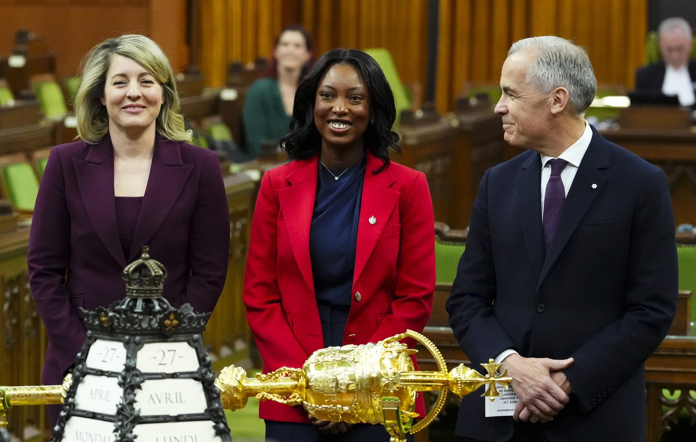 Liberals formalize majority, pass motion to restructure committees