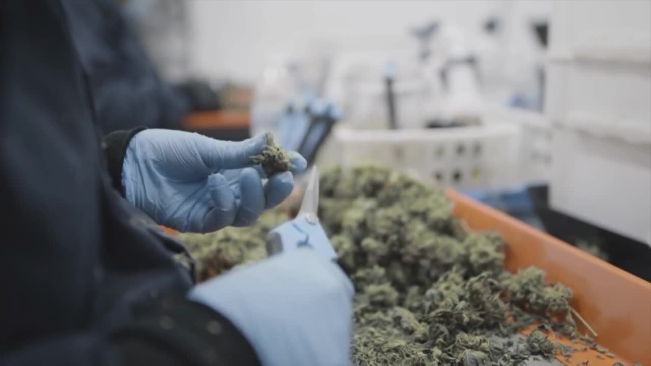 Easing cannabis rules helps dispensaries