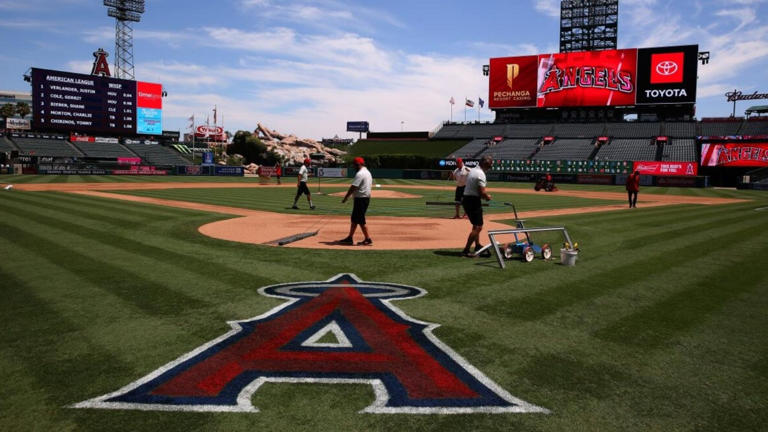 Authorities shut down food areas after rodent discovery at MLB stadium