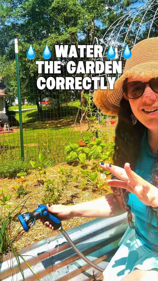 The right way to water your garden might surprise you