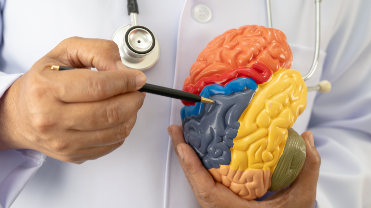Is your sedentary lifestyle making your brain age faster than you think?