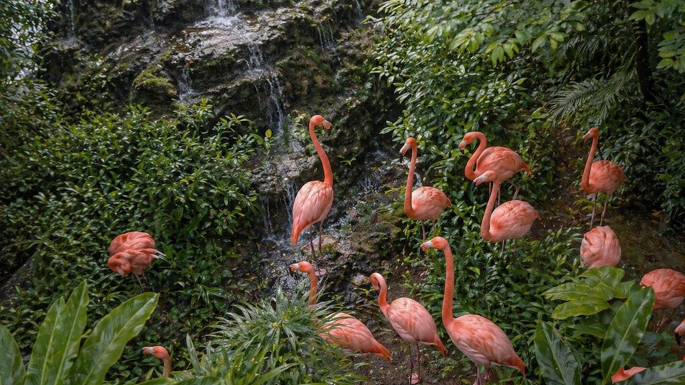 Versteckte Cenoten und Flamingos zeigen Mexikos Landschaft