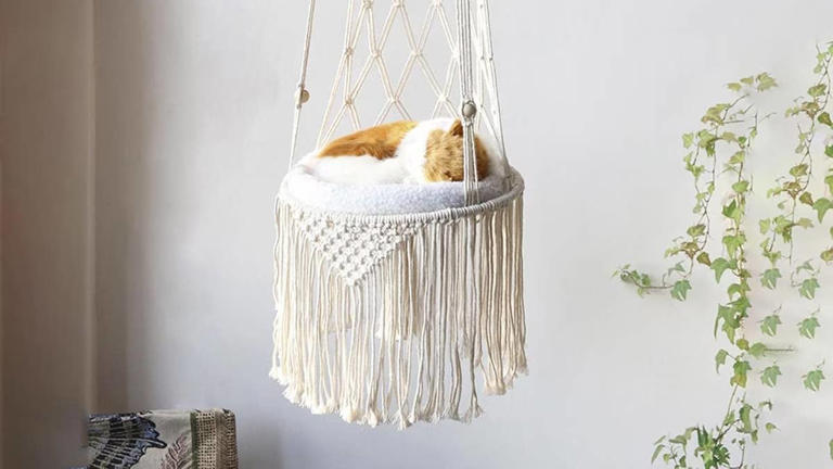 Discover the stylish Nono Pets macrame cat bed for just $32 — perfect ...