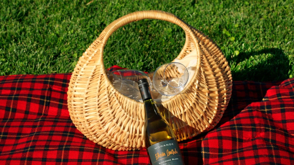 Real Simple unveils $6+ summer picnic essentials on Amazon