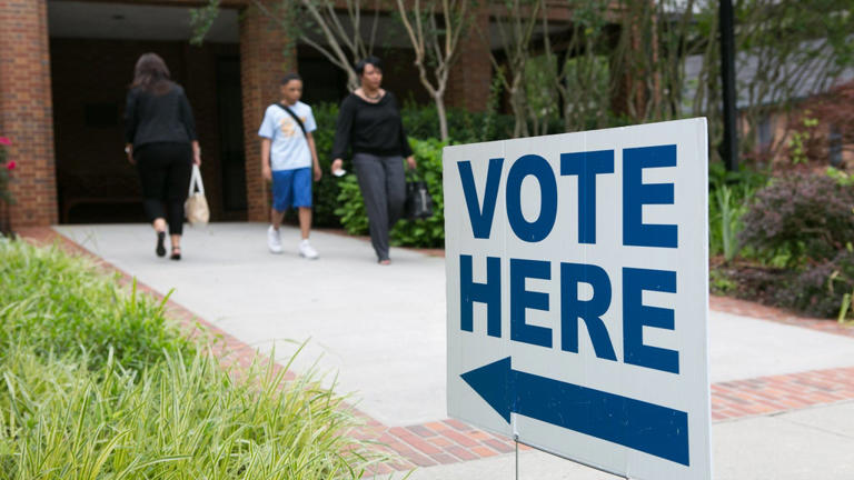Early voting now underway in Georgia's primary elections ahead of ...