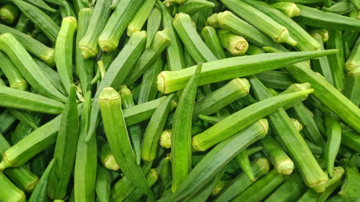 Which country is the largest producer of okra in the world?