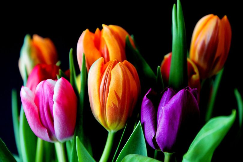 Latest Coventry Telegraph death and funeral notices