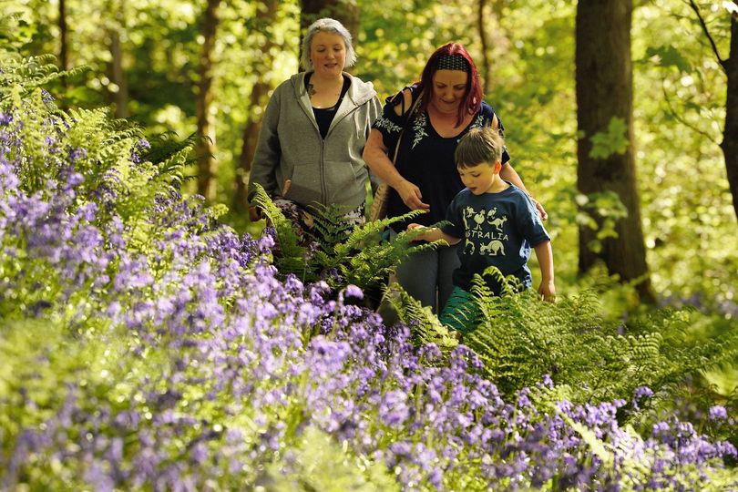 'Pristine' woodland haven with historic mill an hour from Manchester