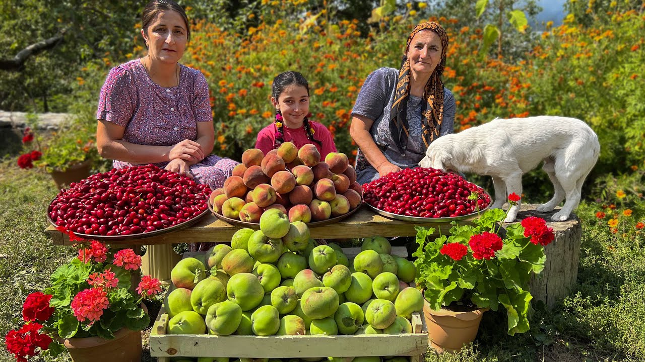 How fresh blueberries turn into homemade sweets step by step