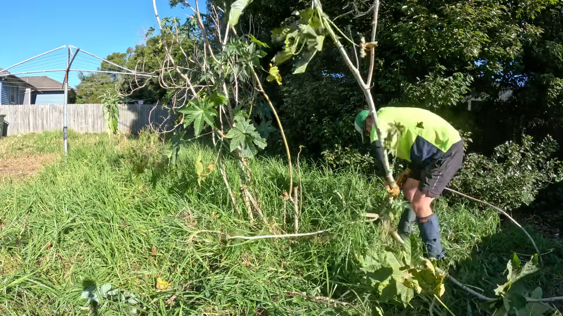Voluntary yard cleanup answers complaints and transforms wild overgrown ...